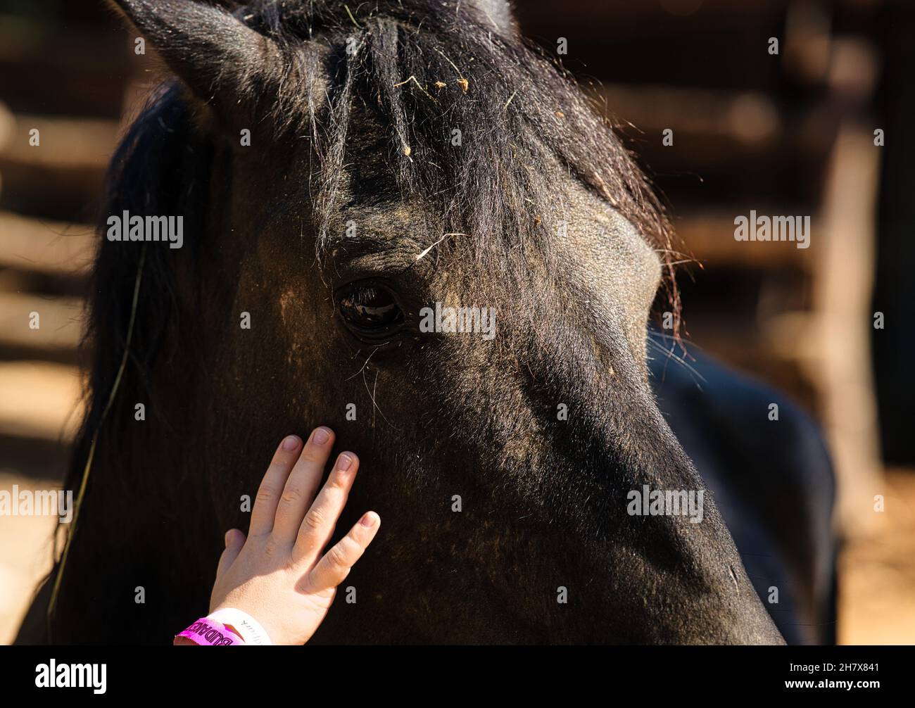 Child tapping hi-res stock photography and images - Alamy