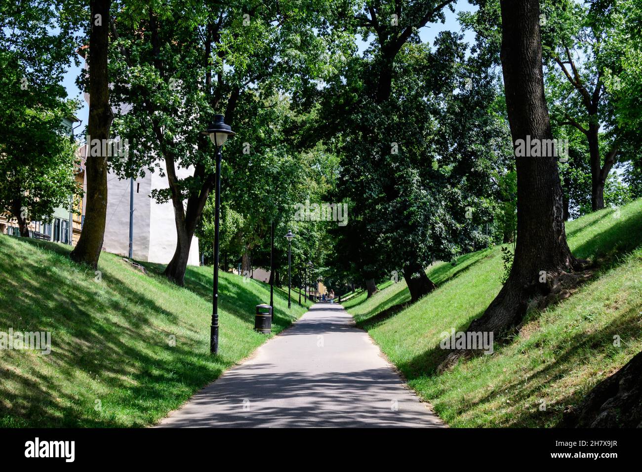 Long alley and green trees in the Citadel Park (Parcul Cetatii), in the ...