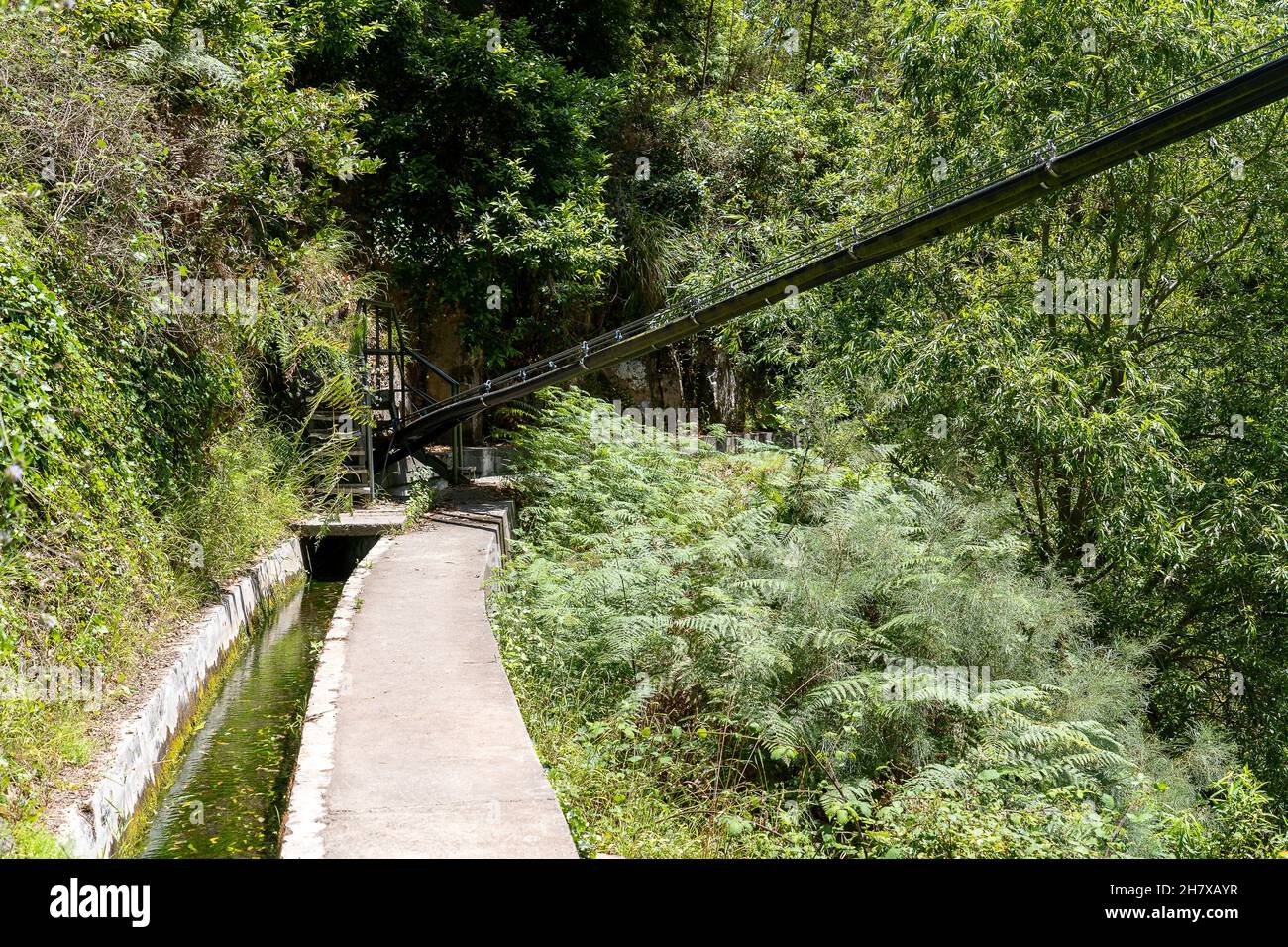 A walking trail along madeira levada do Moinho Stock Photo - Alamy