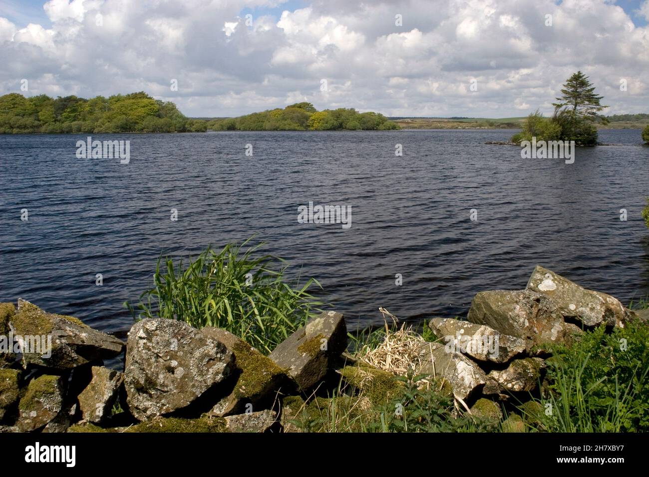 Mochrum Loch, Dumfries & Galloway, Scotland Stock Photo - Alamy