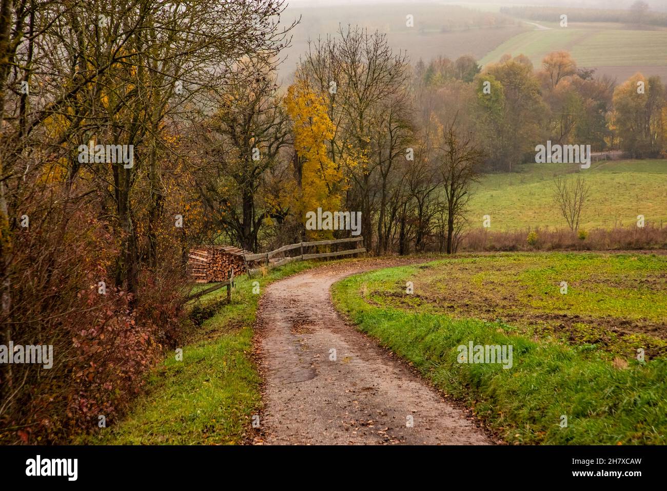 A farm road lined with trees and bushes in autumn colors leads down a ...