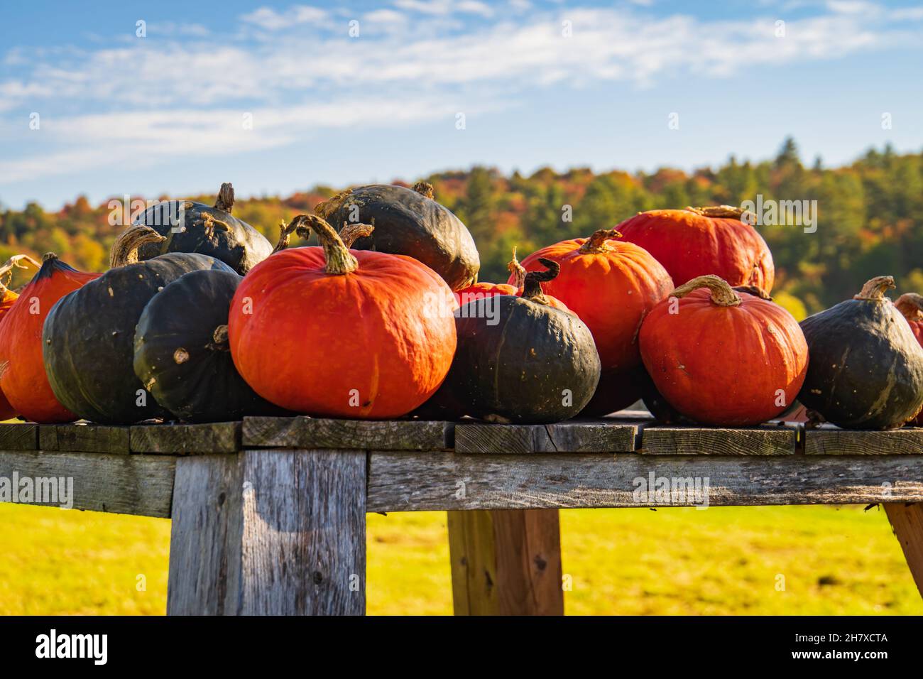 Pumpkin farm stand hi-res stock photography and images - Alamy