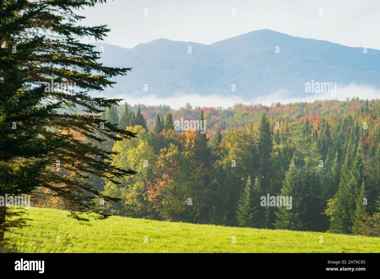 lighting up fall foliage colors on a misty autumn morning Stock Photo ...