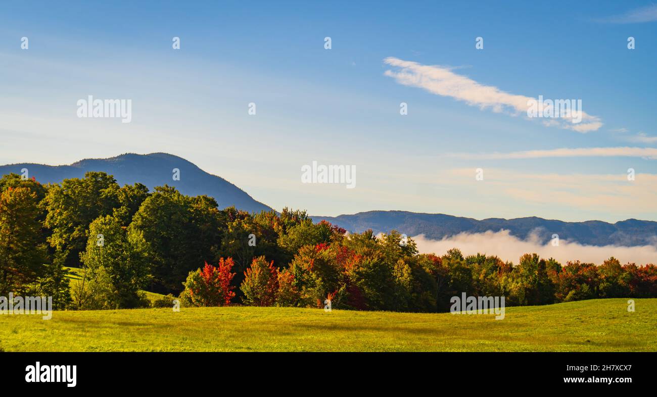 lighting up fall foliage colors on a misty autumn morning Stock Photo ...