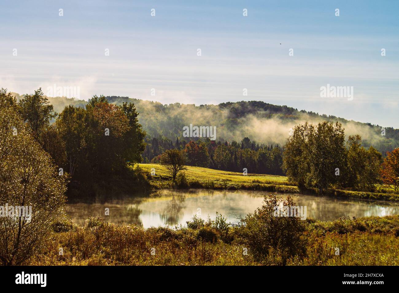Country pond hi-res stock photography and images - Alamy