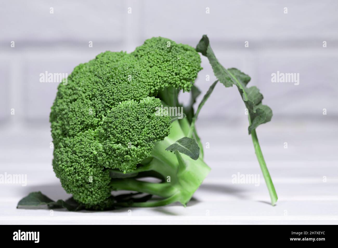 Raw green broccoli on white background, healthy eating diet, Green ...