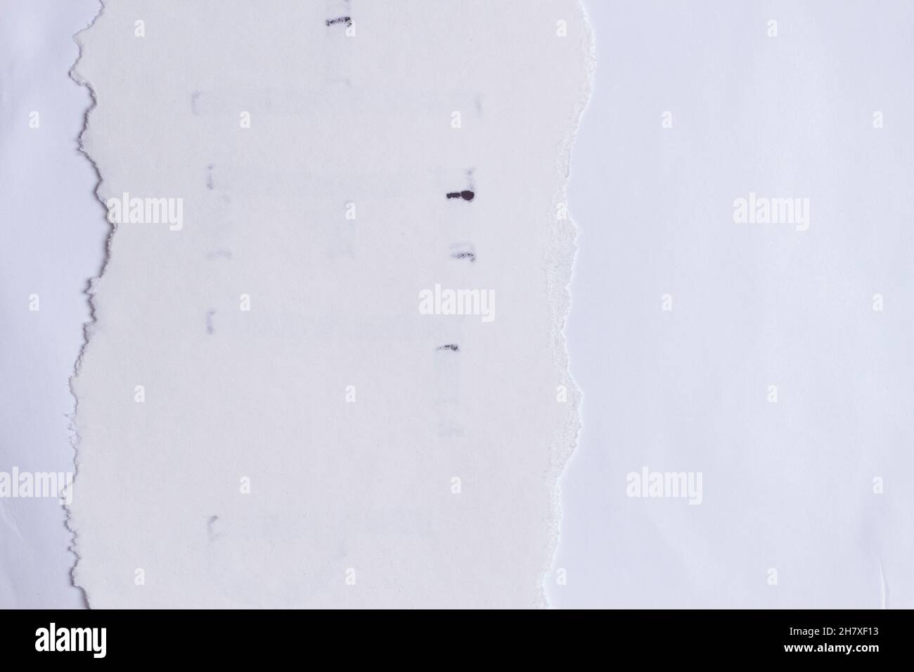 Vertical piece of torn paper on blank white background. Abstact ...