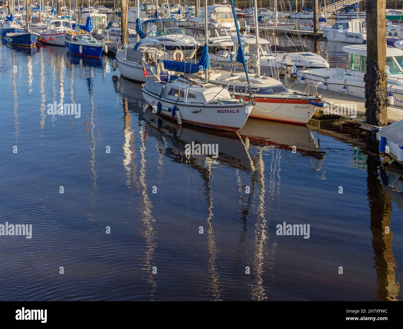 Yachts are moored to jetties in a marina. A mooring post with seaweed ...