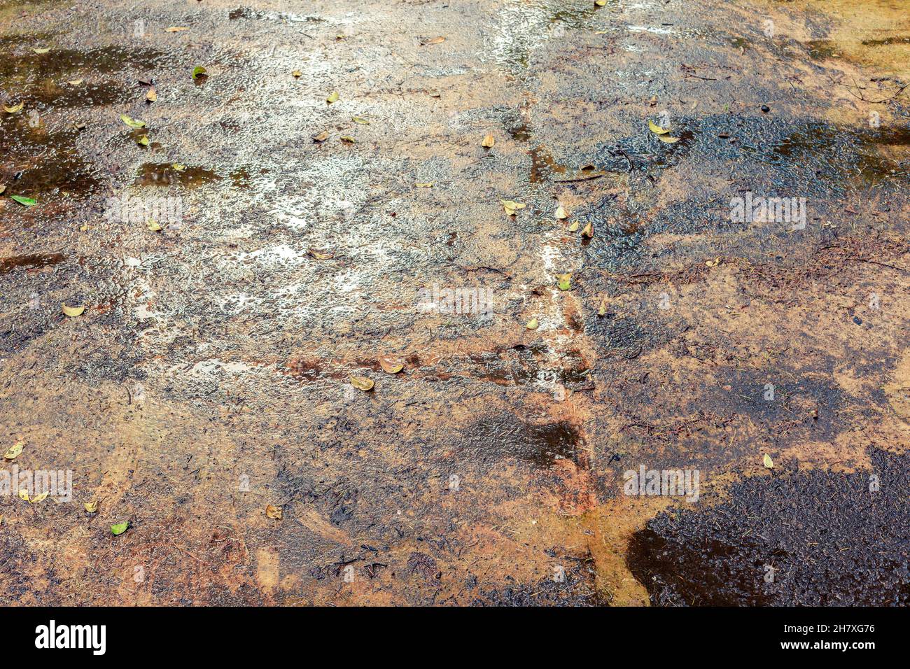 dirty concrete surface covered by water Stock Photo - Alamy