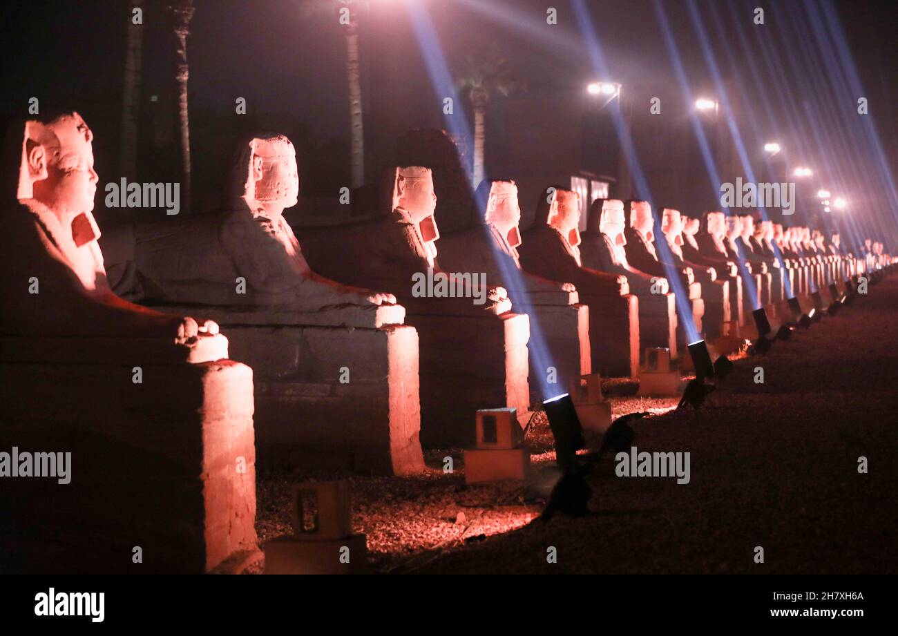 Rams road egypt hi-res stock photography and images - Alamy