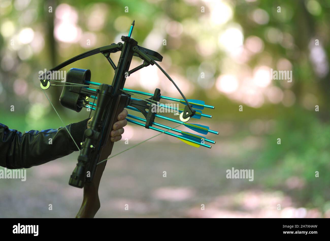 Hand holding crossbow, in the nature Stock Photo - Alamy