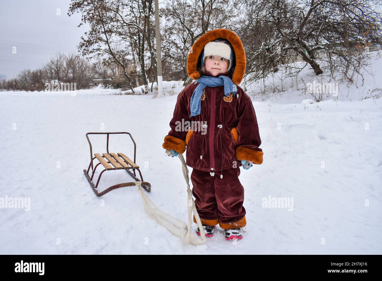 Little child pulling a sled in the snow. The kid is riding on a sleigh ...