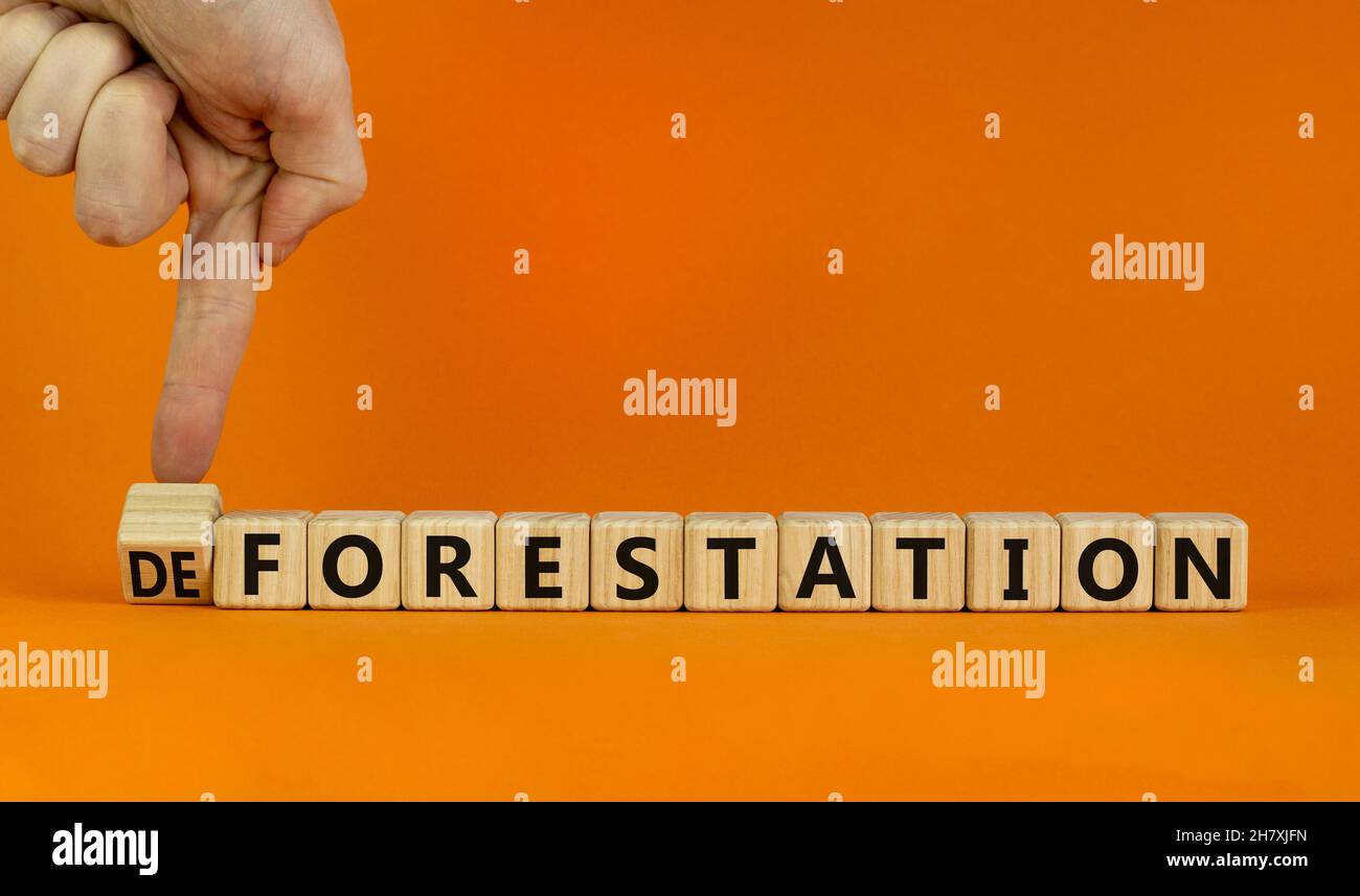 African rainforest deforestation hi-res stock photography and images ...