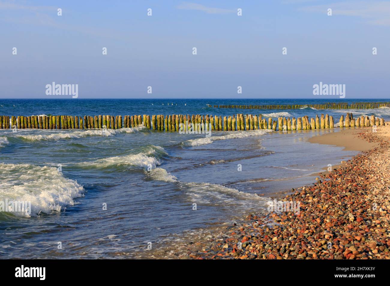 Thick wooden breakwaters at the sea coast. These wooden breakwaters ...