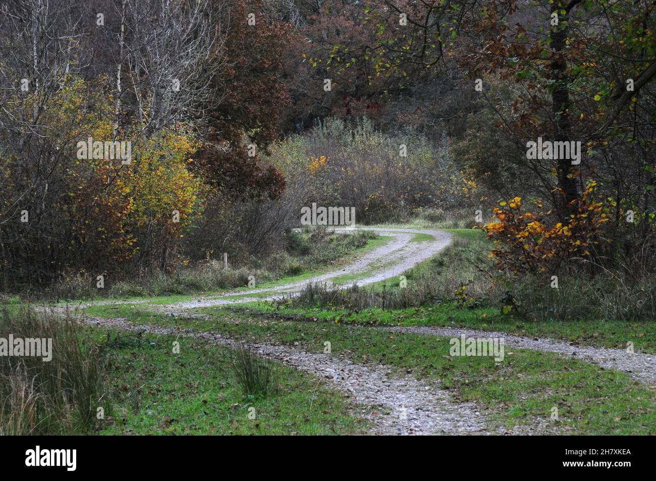 Dorset Wildlife Trust nature reserve. UK Stock Photo - Alamy
