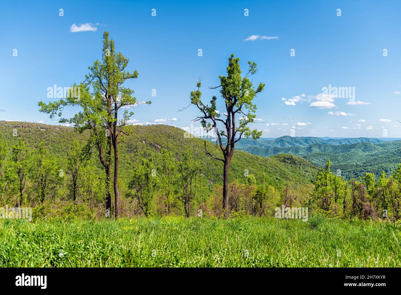 Appalachian Shenandoah Blue Ridge mountains on parkway Three Ridges ...