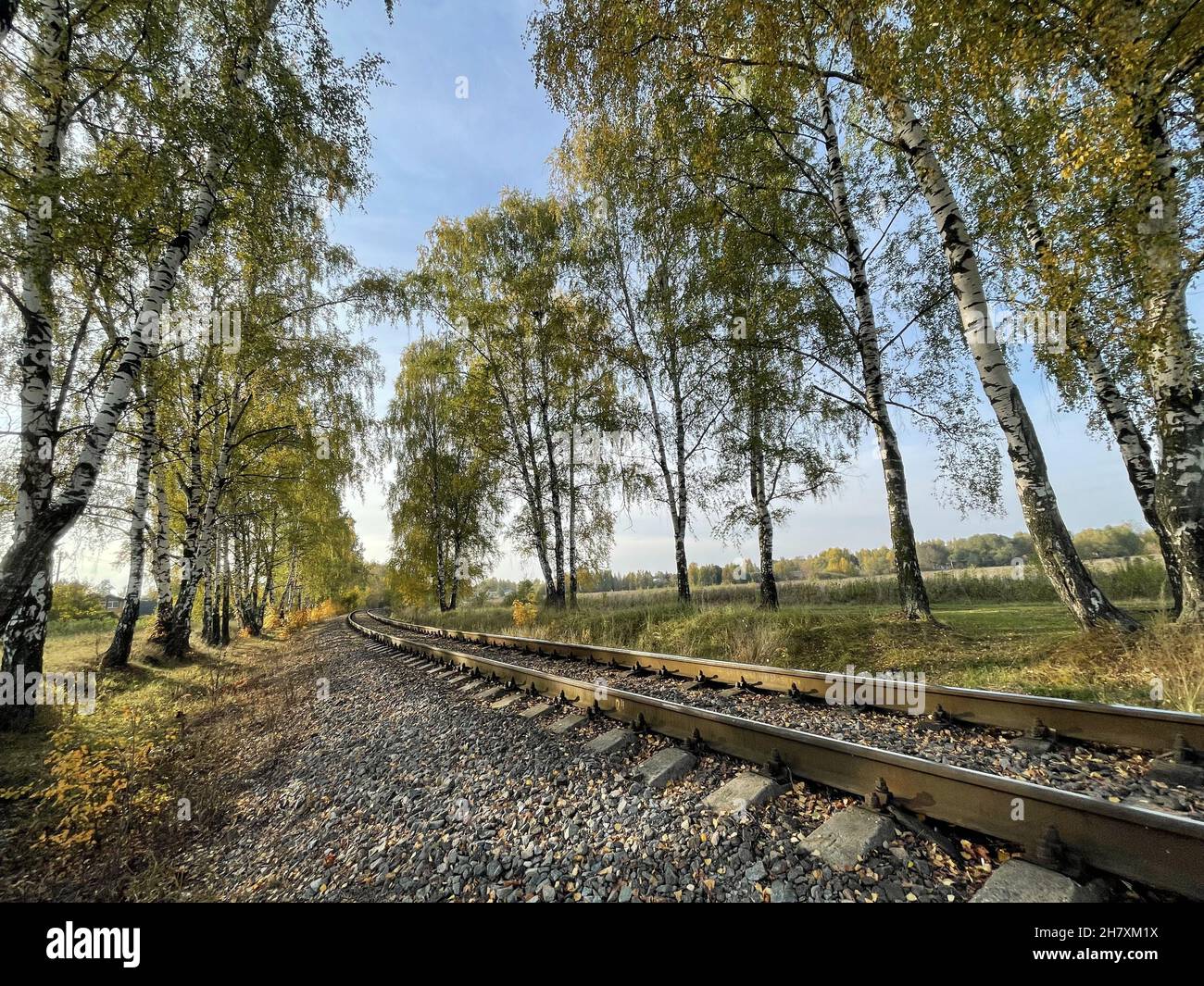 Railway tracks in the middle of the forest and field with trees in ...