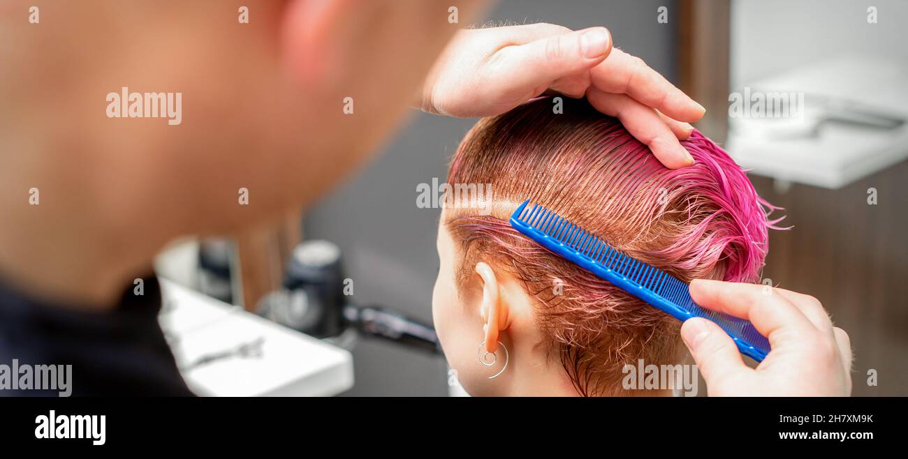 Combing the hair of a young woman during coloring hair in pink color at ...