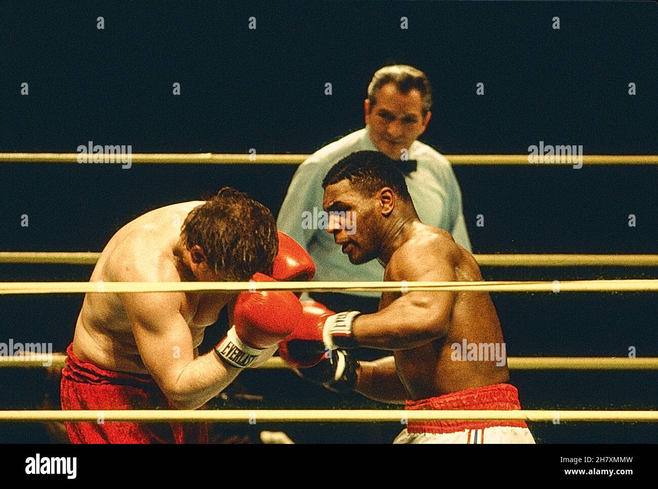 Mike Tyson vs. Steve Zouski fight at the Nassau Coliseum, Uniondale ...