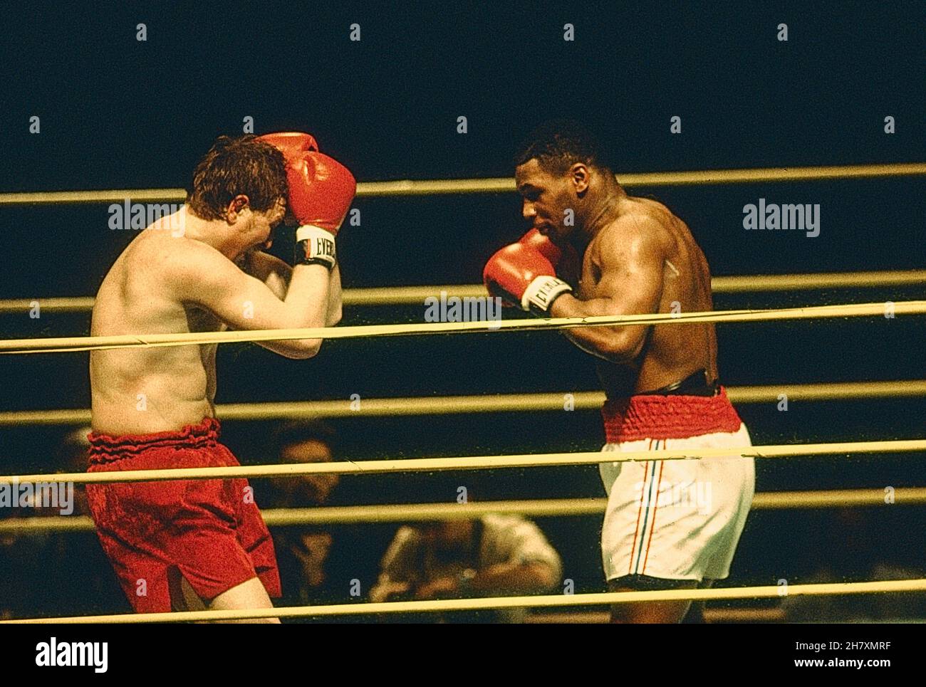 Mike Tyson vs. Steve Zouski fight at the Nassau Coliseum, Uniondale ...