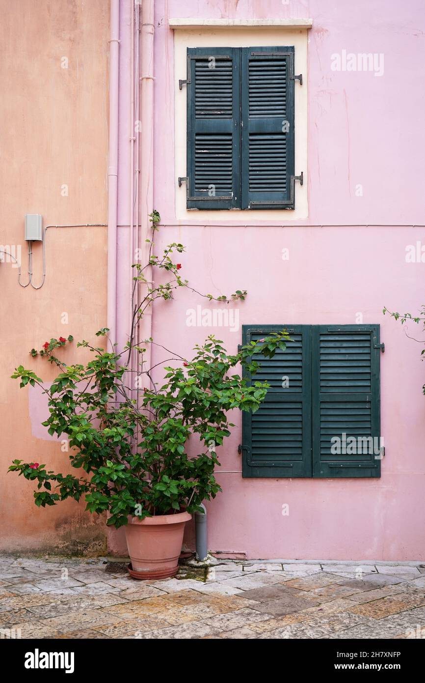 beautiful traditional greek street with flower Stock Photo - Alamy
