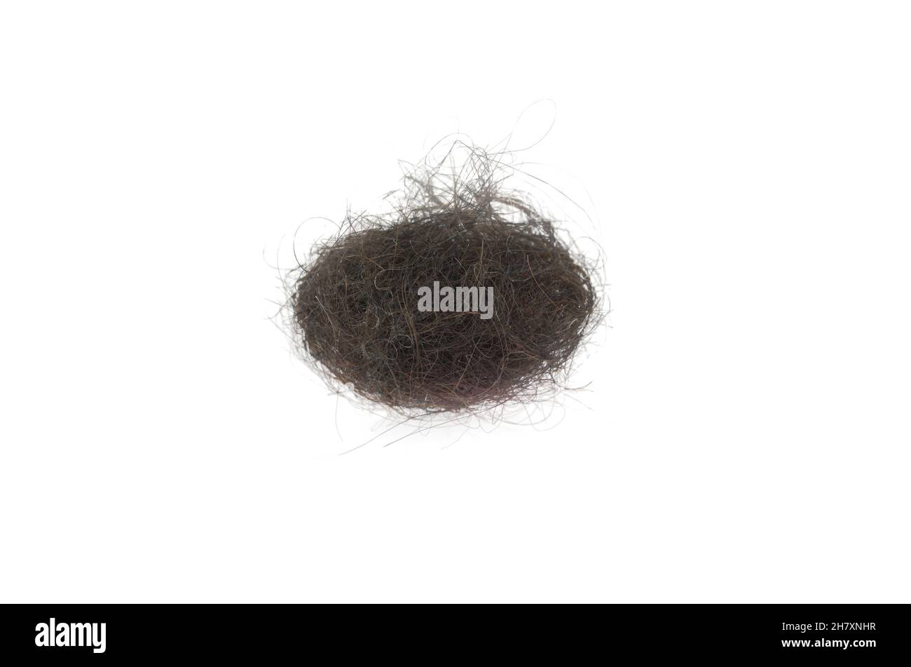Hairball image hi-res stock photography and images - Alamy