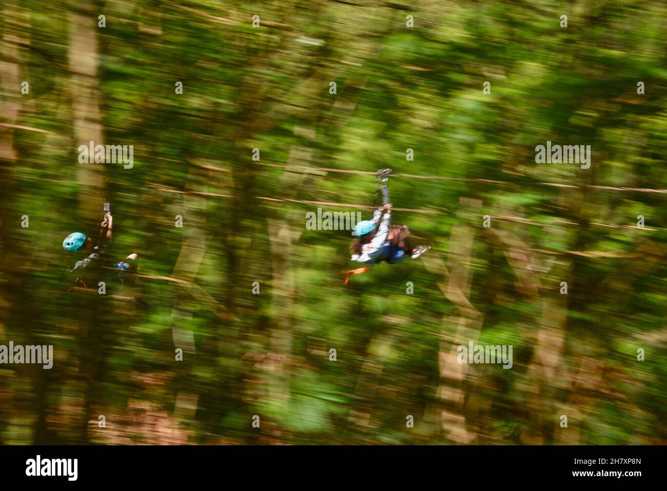 Fast moving motion, thrill and excitement of zipline run down tropical ...