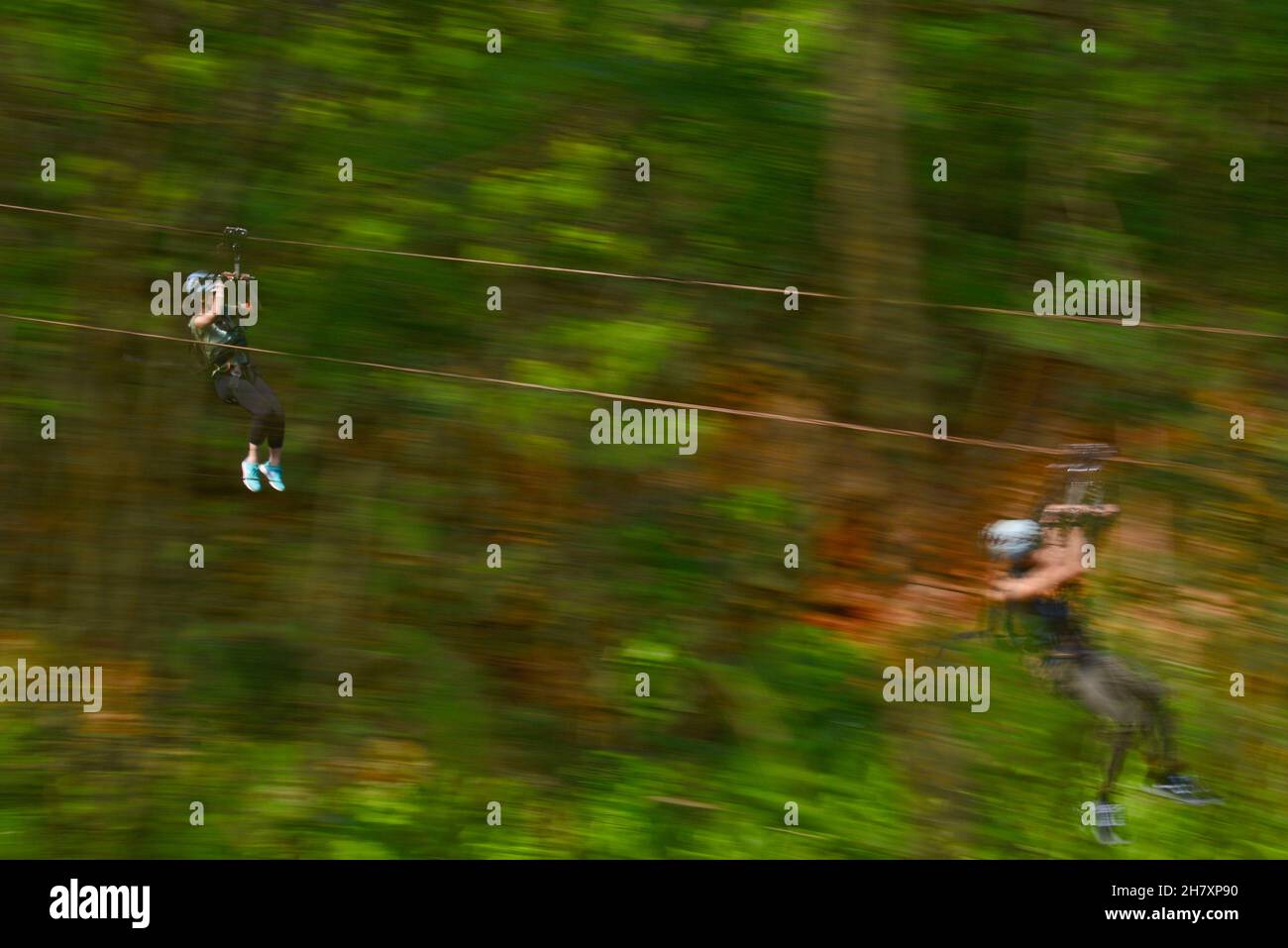 Fast moving motion, thrill and excitement of zipline run down tropical ...
