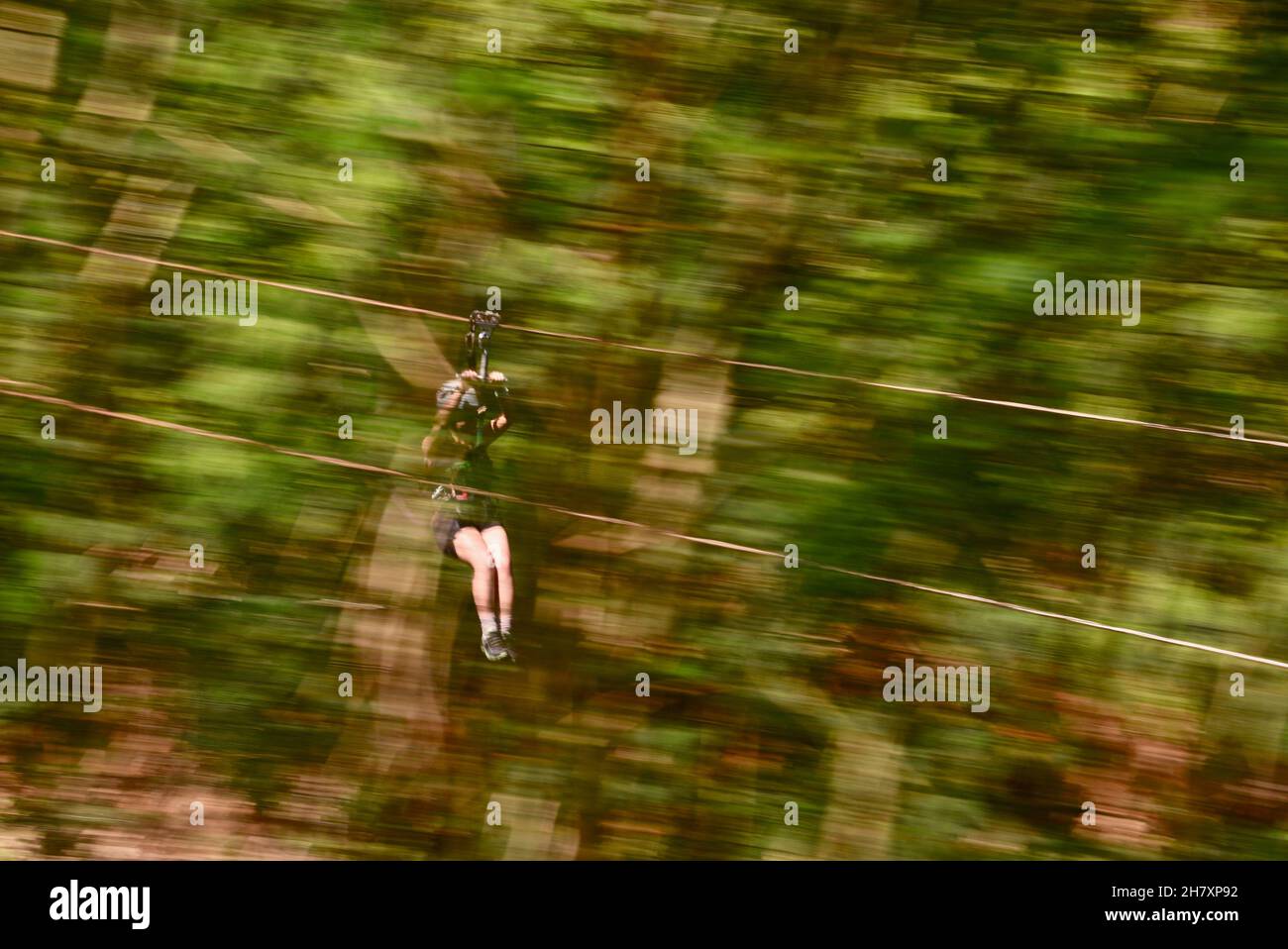 Fast moving motion, thrill and excitement of zipline run down tropical ...