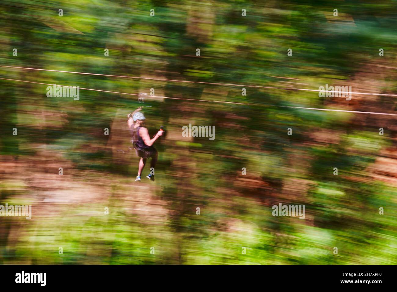 Fast moving motion, thrill and excitement of zipline run down tropical ...