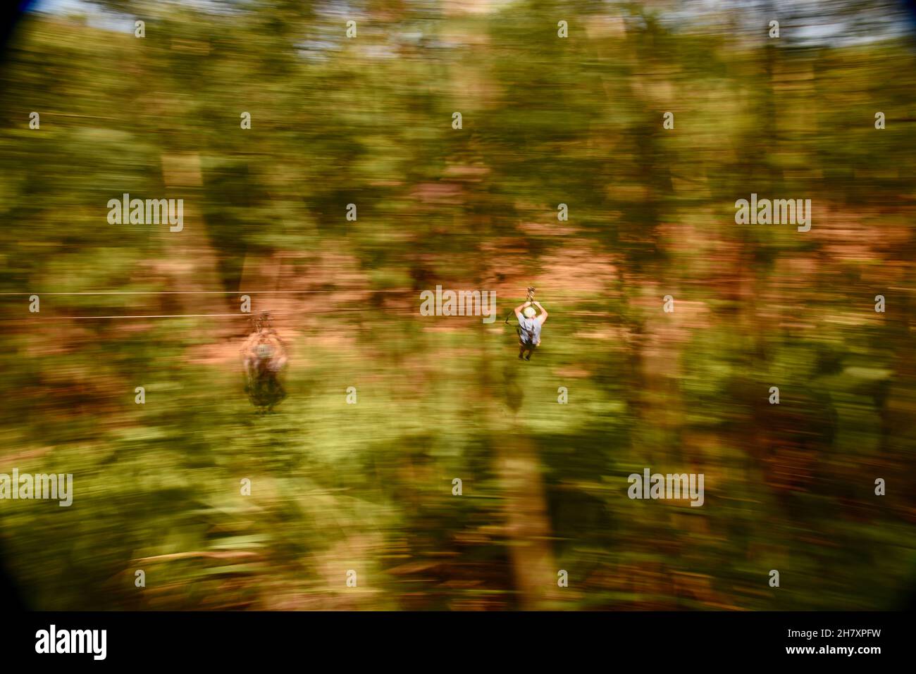 Fast moving motion, thrill and excitement of zipline run down tropical ...