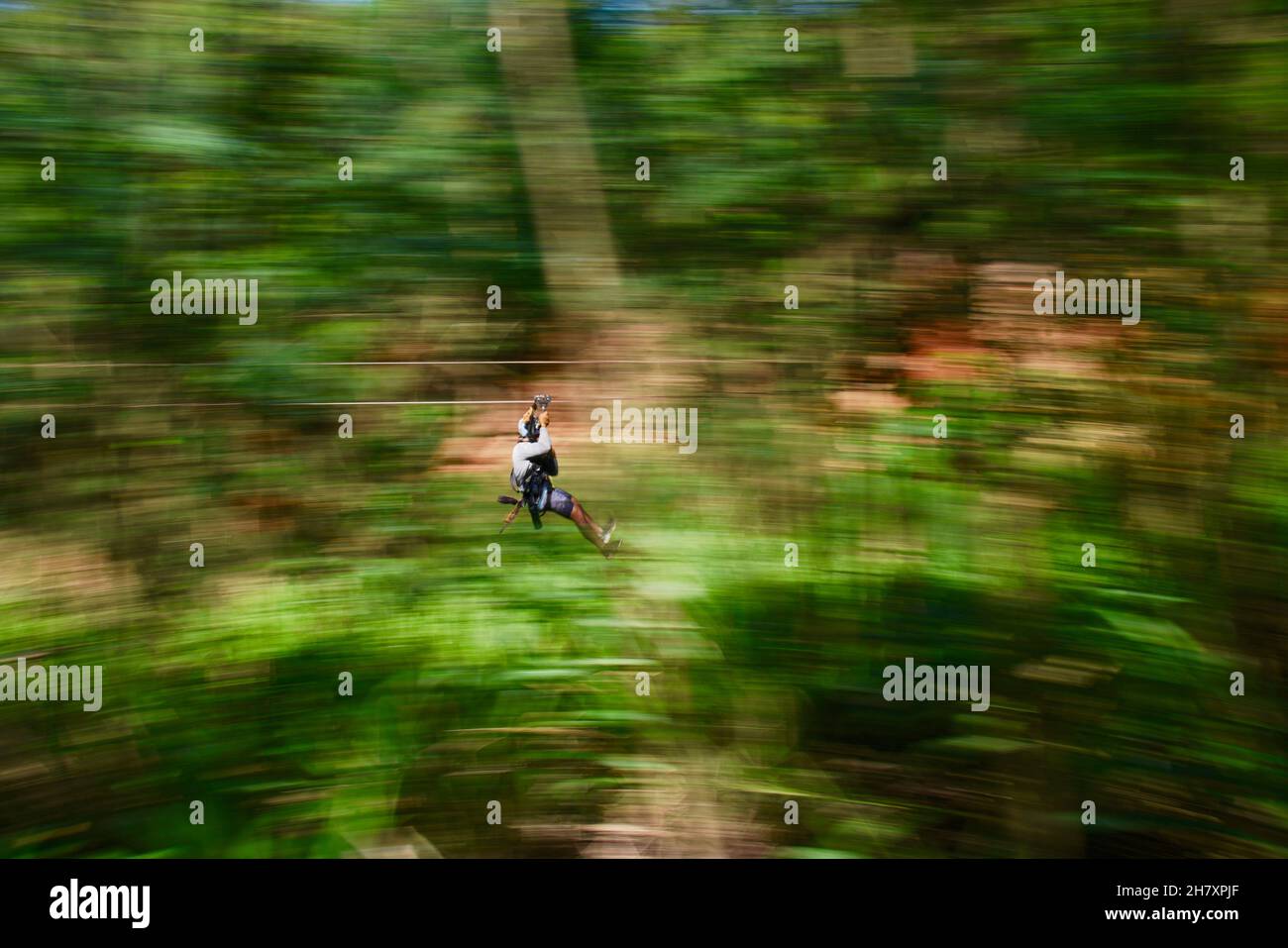 Fast moving motion, thrill and excitement of zipline run down tropical ...