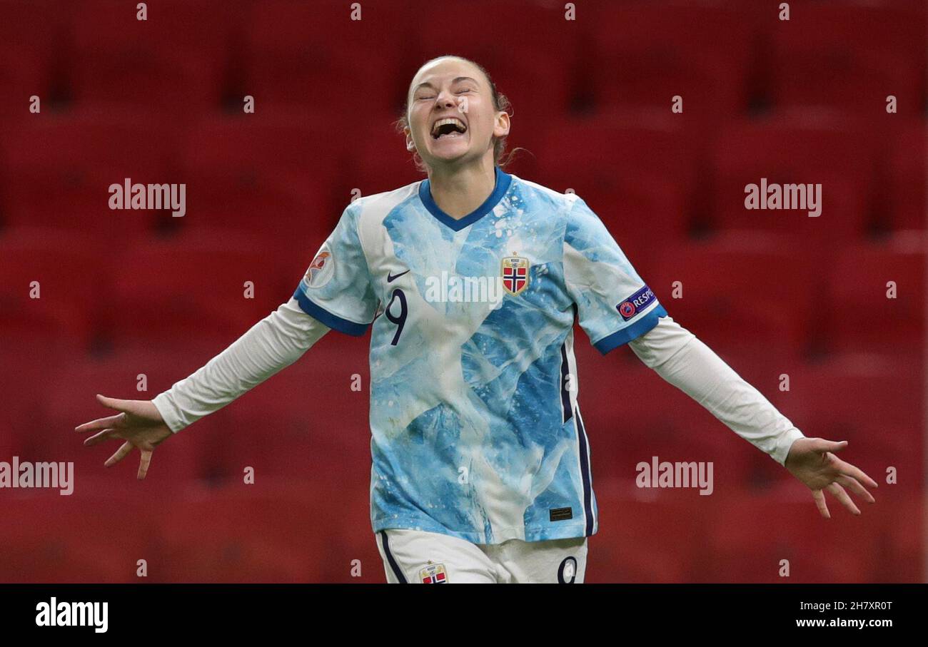 Vilde hasund hi-res stock photography and images - Alamy