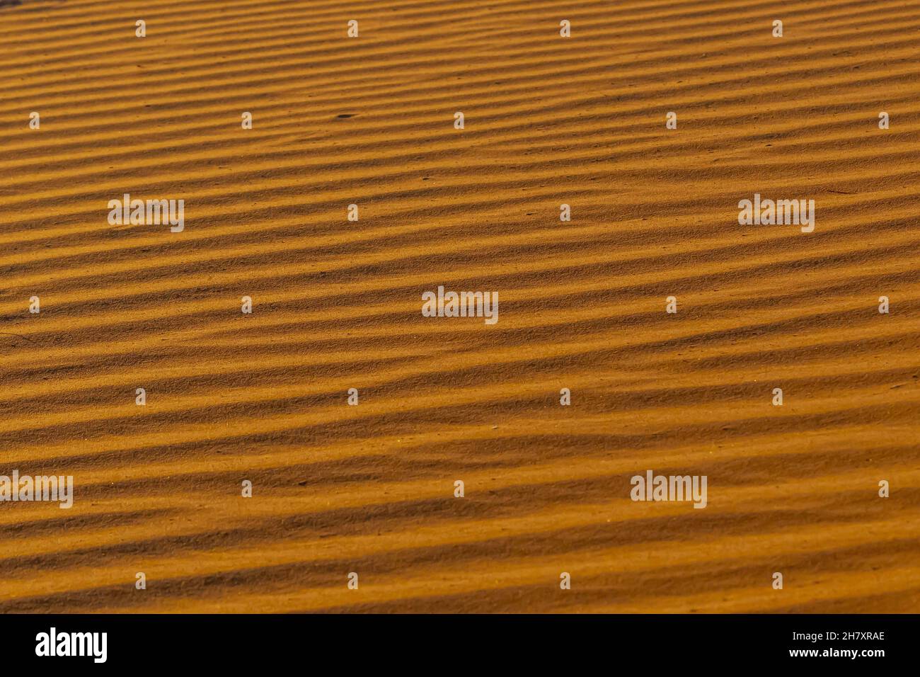 Merzouga, Errachidia, USA. 9th Nov, 2021. Sand dunes in the great ...