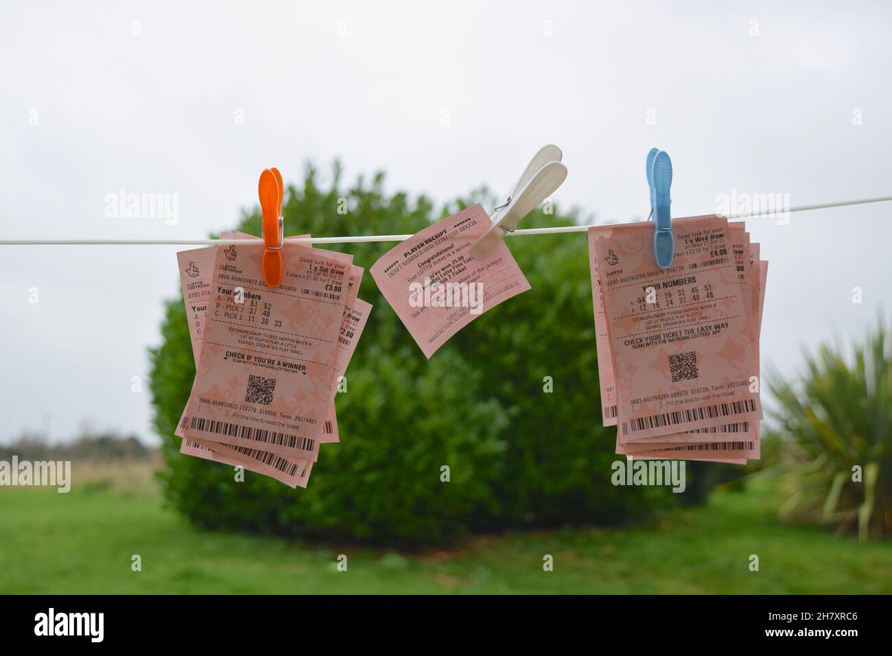 UK national lottery tickets and a winning slip on washing line Stock ...