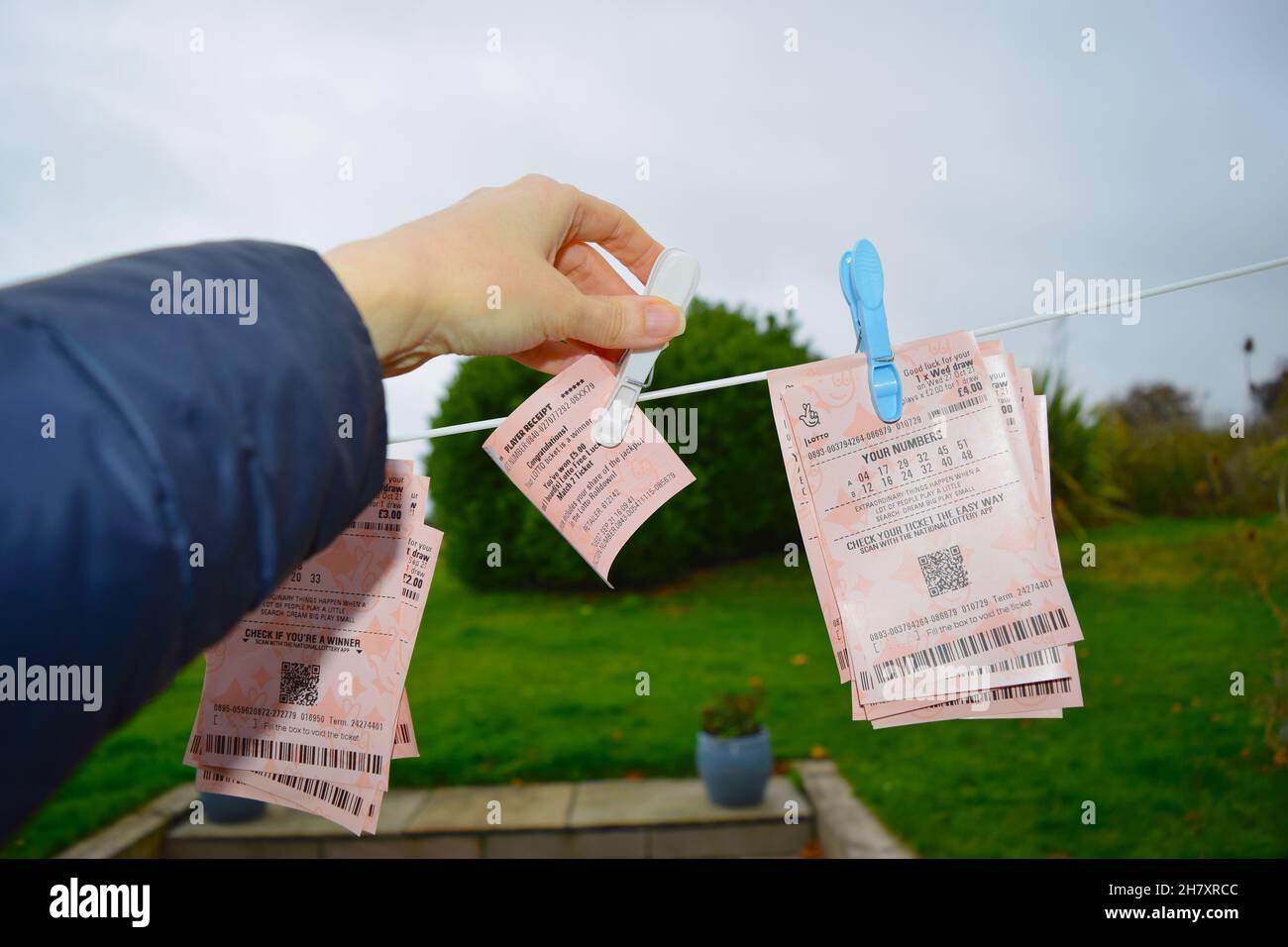 Woman is hanging lottery tickets on washing line with natural ...
