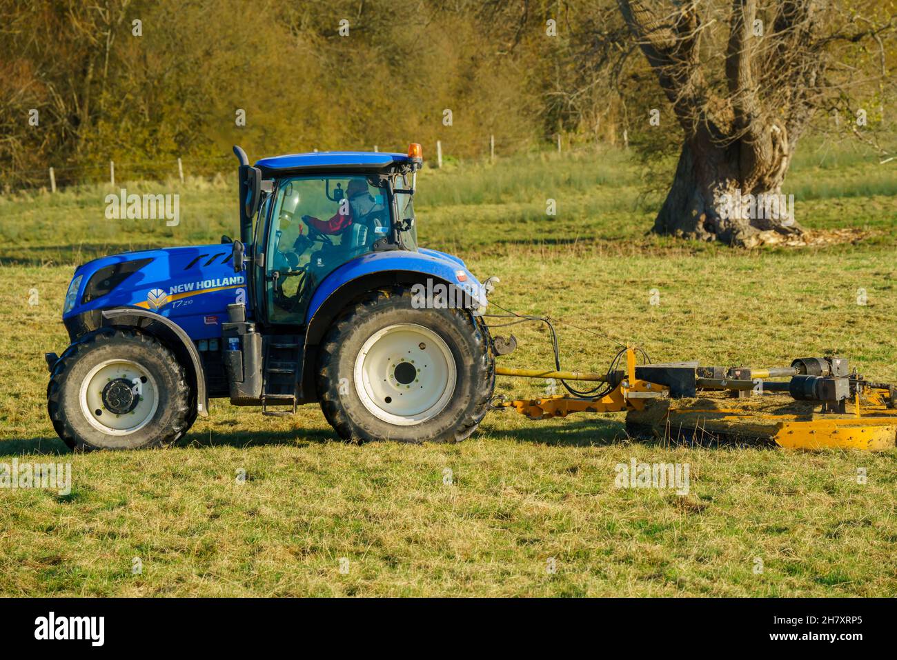 Large blue New Holland T7 210 tractor with a trailed grass topper Stock ...