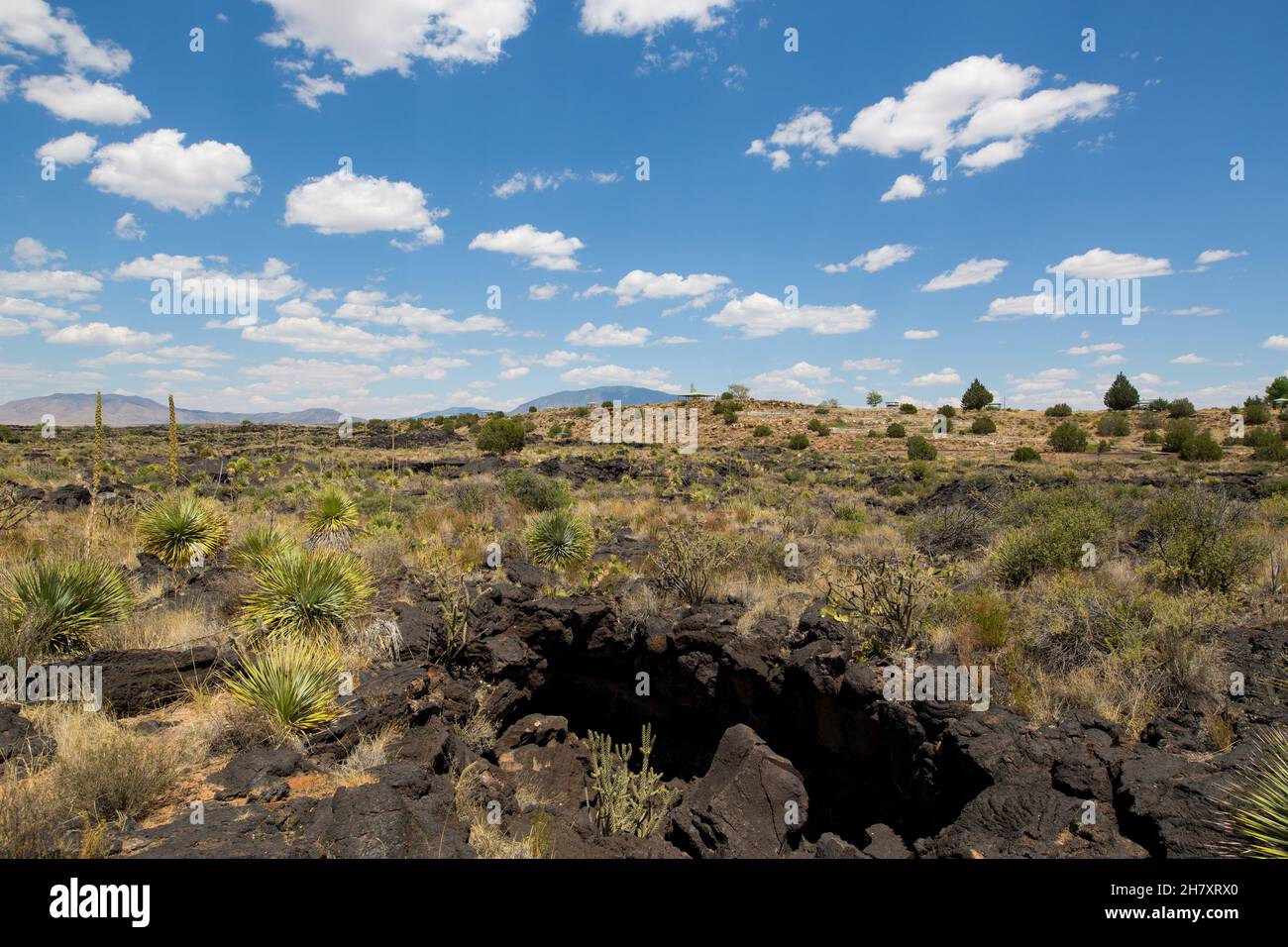 New Mexico, desolate desert landscape of a wonderful country Stock ...
