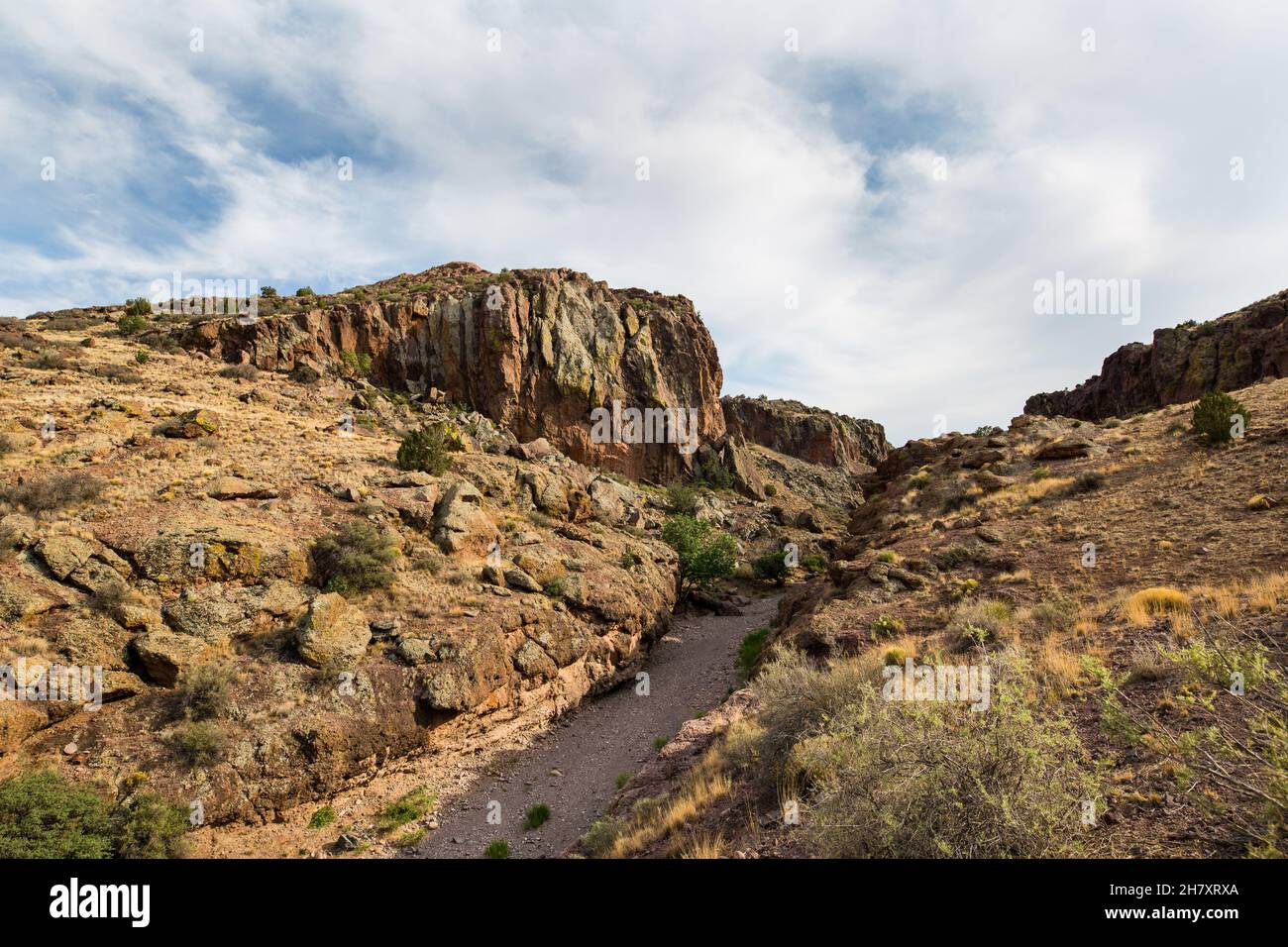 New Mexico, desolate desert landscape of a wonderful country Stock ...