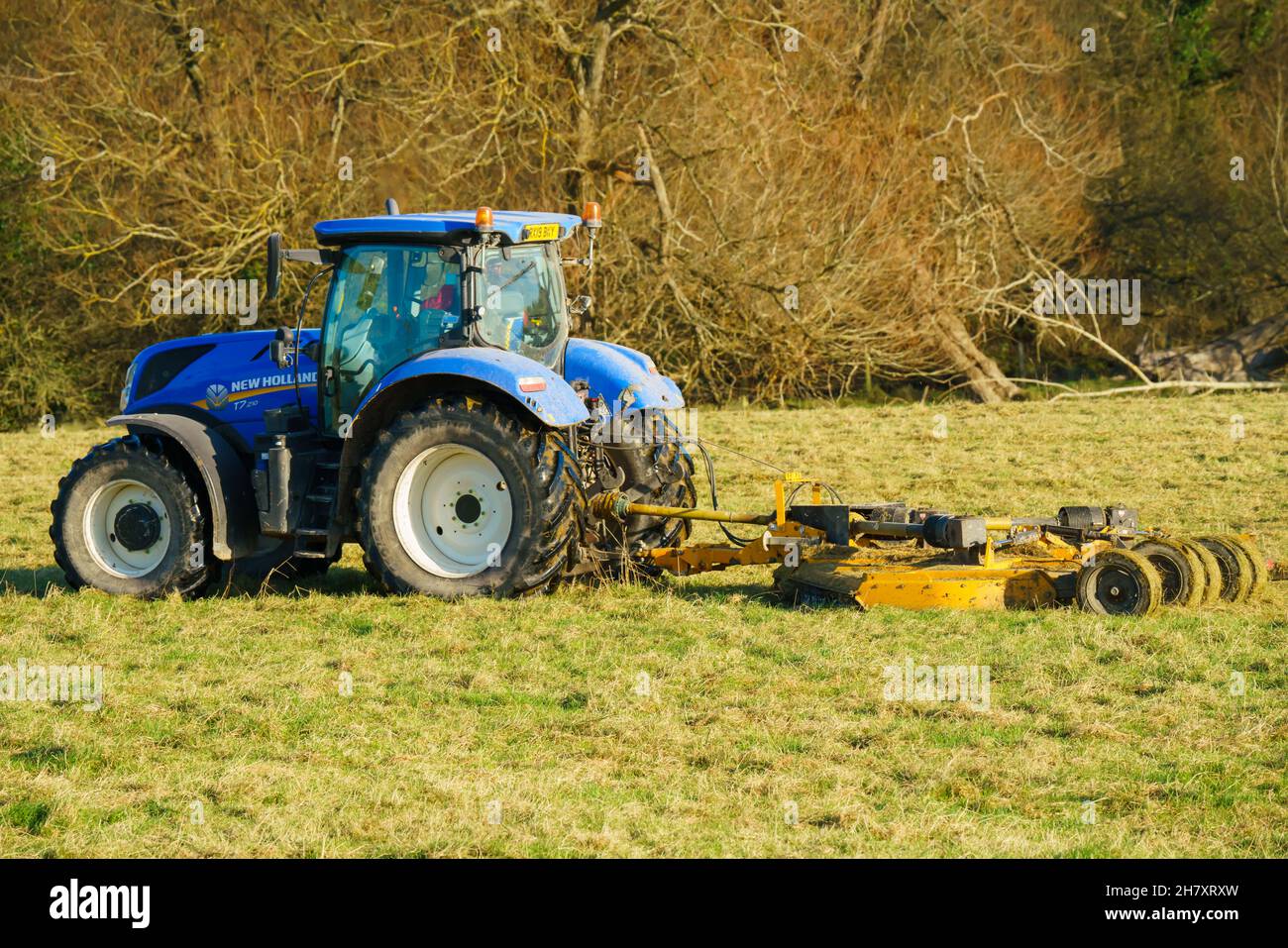 Large blue New Holland T7 210 tractor with a trailed grass topper Stock ...