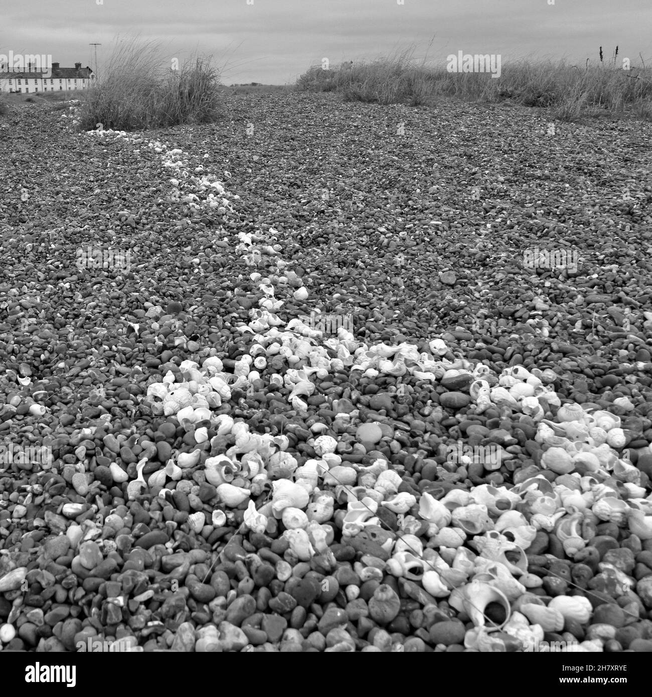 The Shell Line on Shingle Street, Suffolk Stock Photo - Alamy