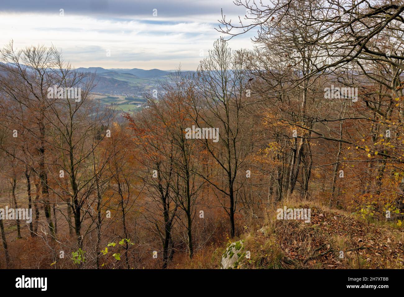 Aerial view from Hill with autumn woodscape near Brilon in German ...