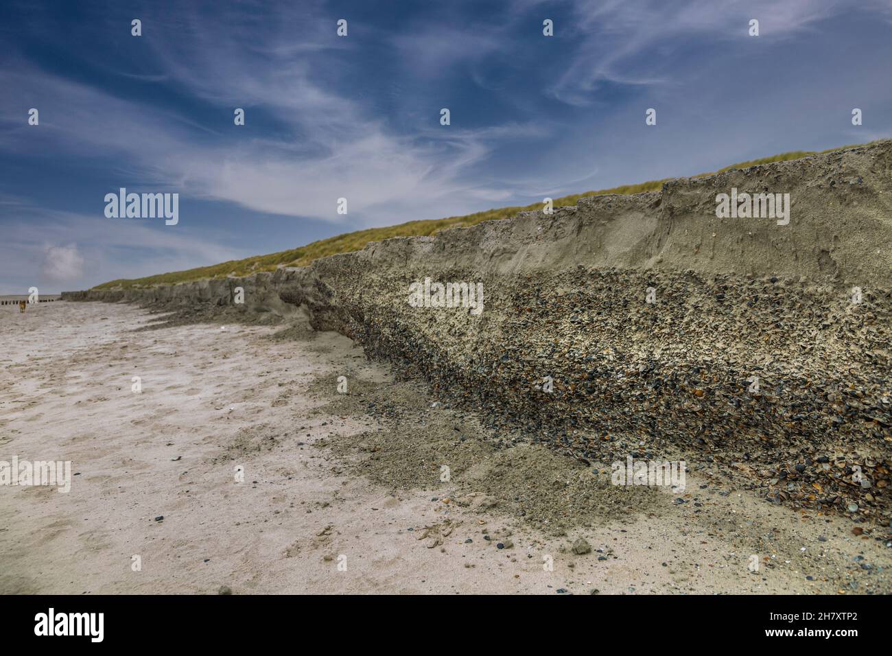 Eroded beach ridge formed by storm and waves, making a thick bottom ...