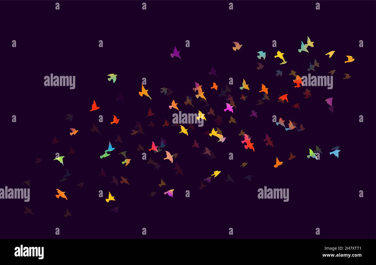 Colorful flying birds in the sky. on a black background . Vector ...