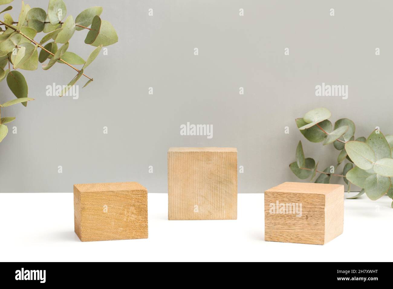 Three square wooden bases on a white an gray background with euclyptus ...
