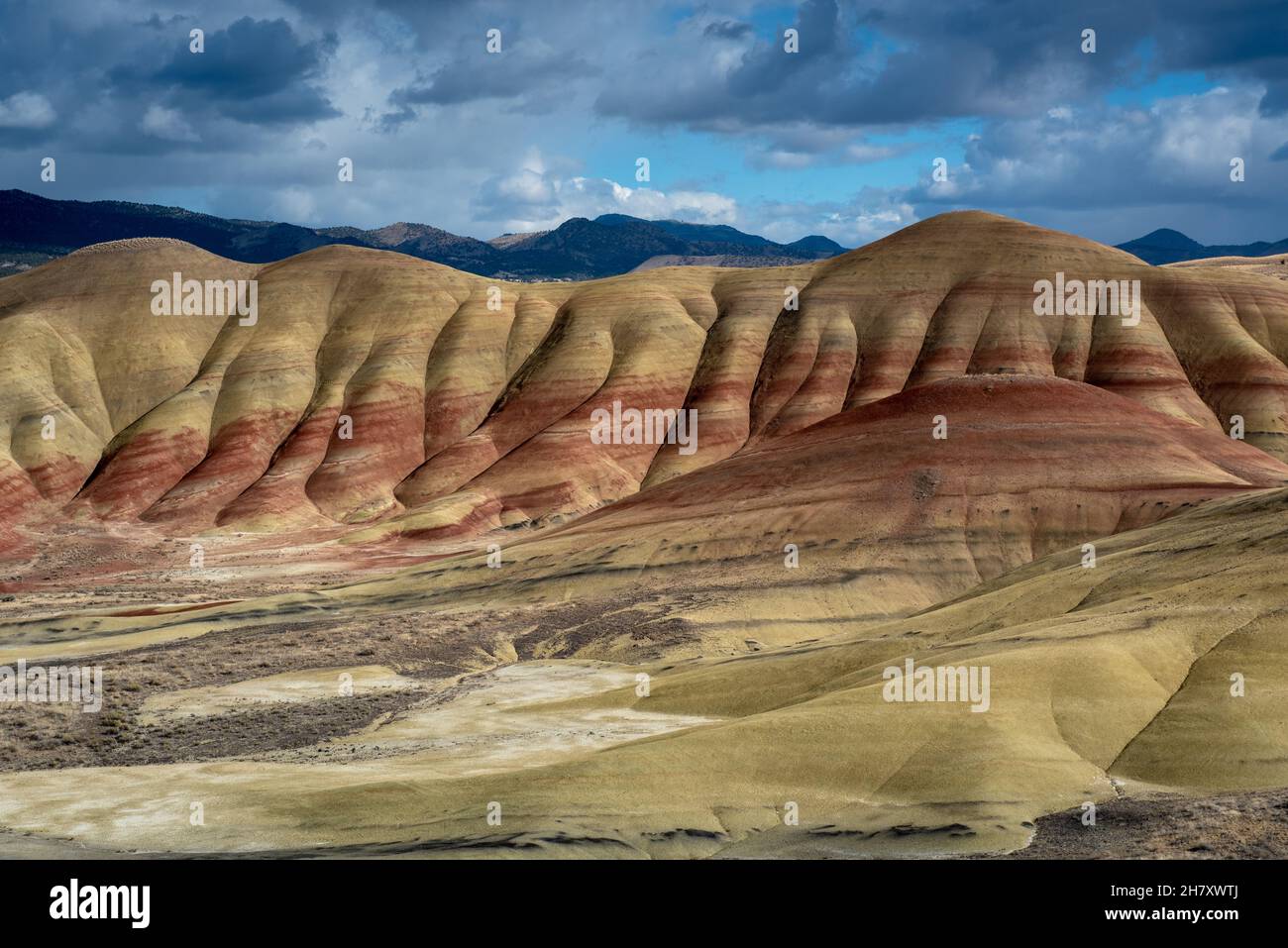 Fossil bed hi-res stock photography and images - Alamy