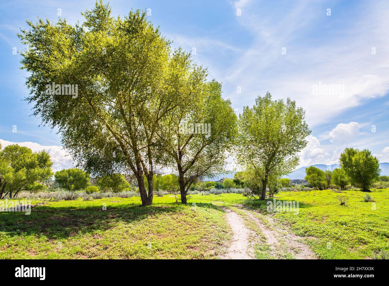 The wonderful country hi-res stock photography and images - Alamy