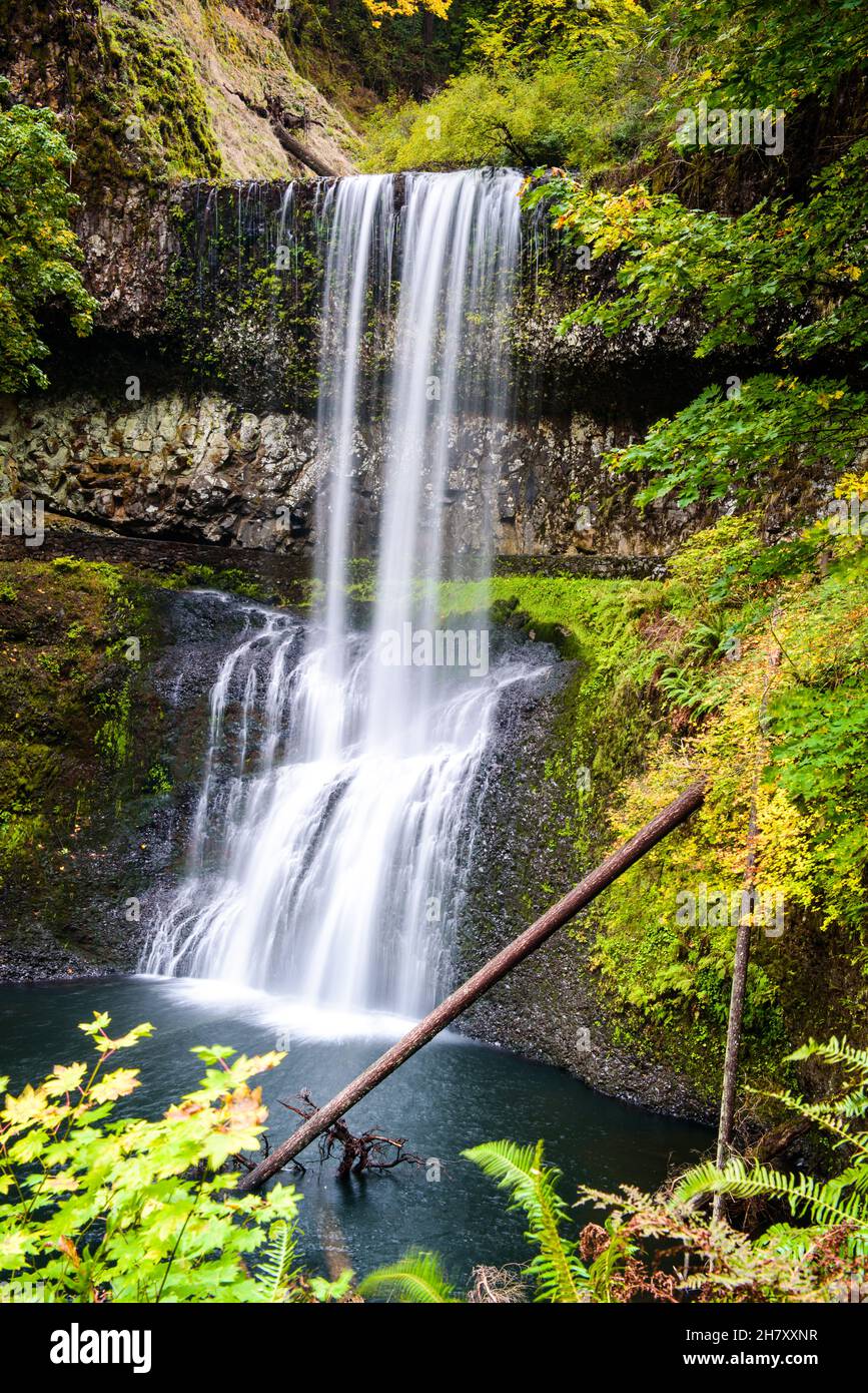 Silver falls creek canyon hi-res stock photography and images - Alamy