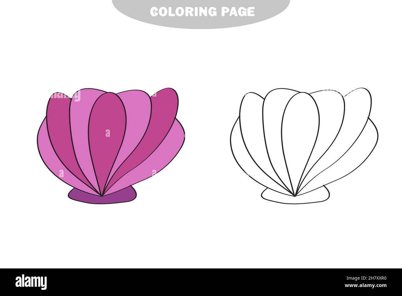 Simple coloring page. Line drawn seashell on white isolated background ...