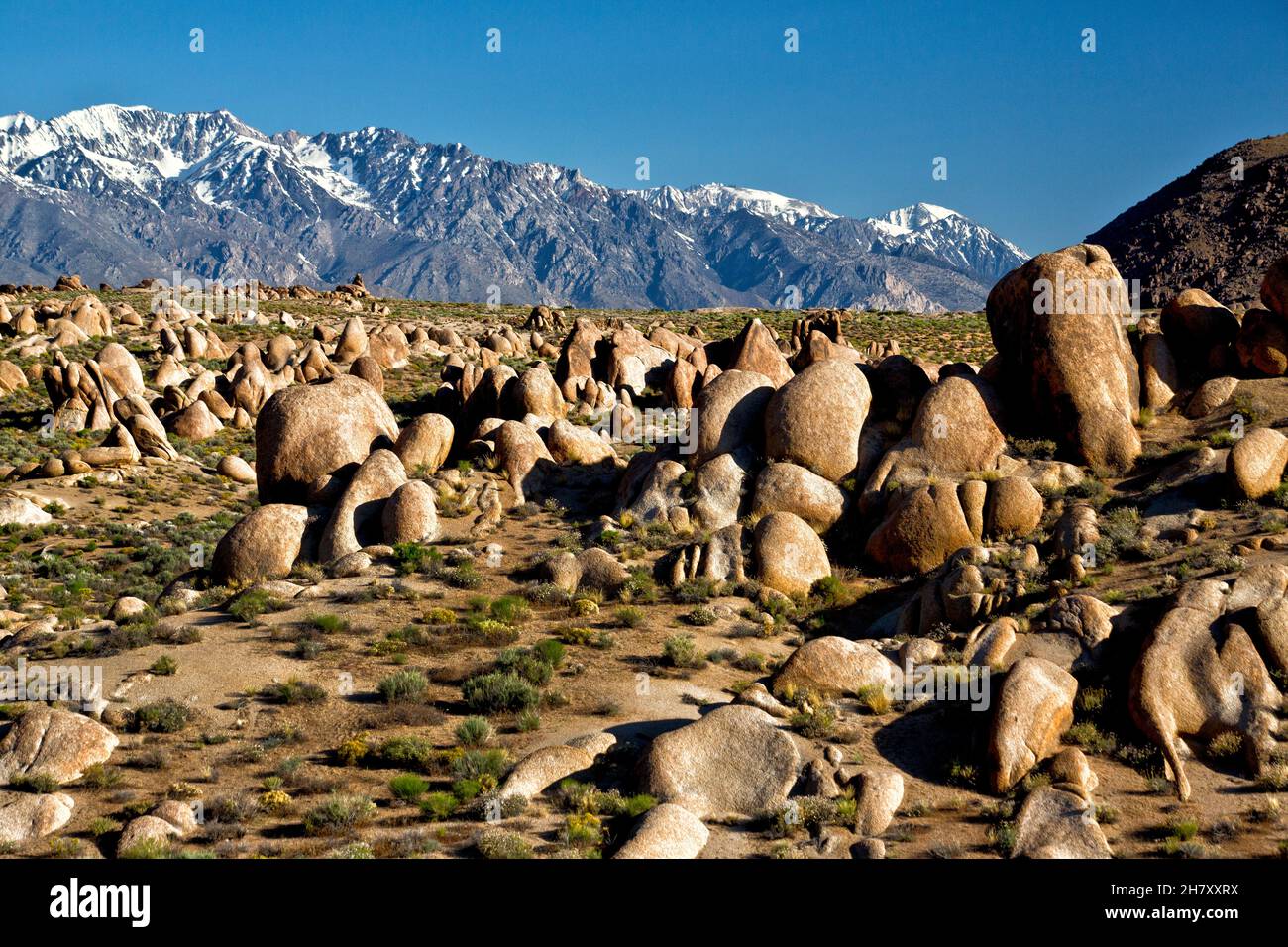 Alabama Hills and the SIerras Stock Photo - Alamy